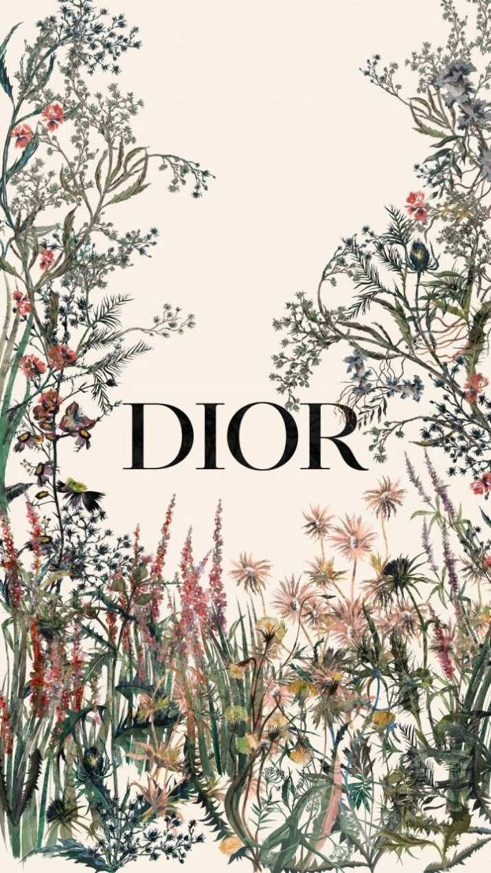 5 Must-Have Dior Pieces That Will Captivate Your Style | Fashonation