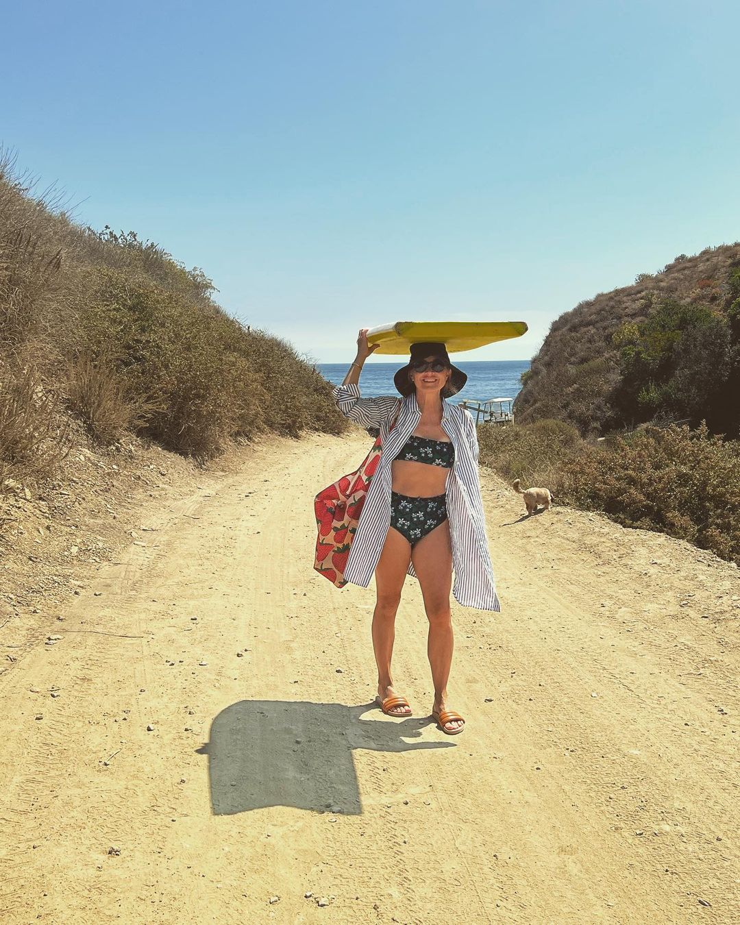 Sasha Alexander Bikini! 7 Moments that Wowed us | Fashonation