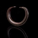 13 African Neck Rings: Cultural Significance and Beauty Standards ...