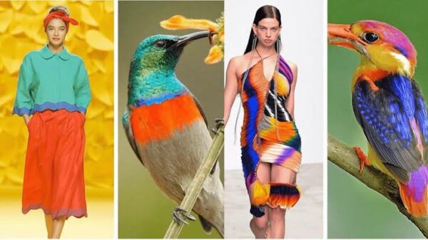 Influence of Nature on Fashion in 2025: Exploring Eco-Friendly and ...