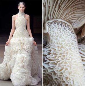 Influence of Nature on Fashion in 2025: Exploring Eco-Friendly and ...